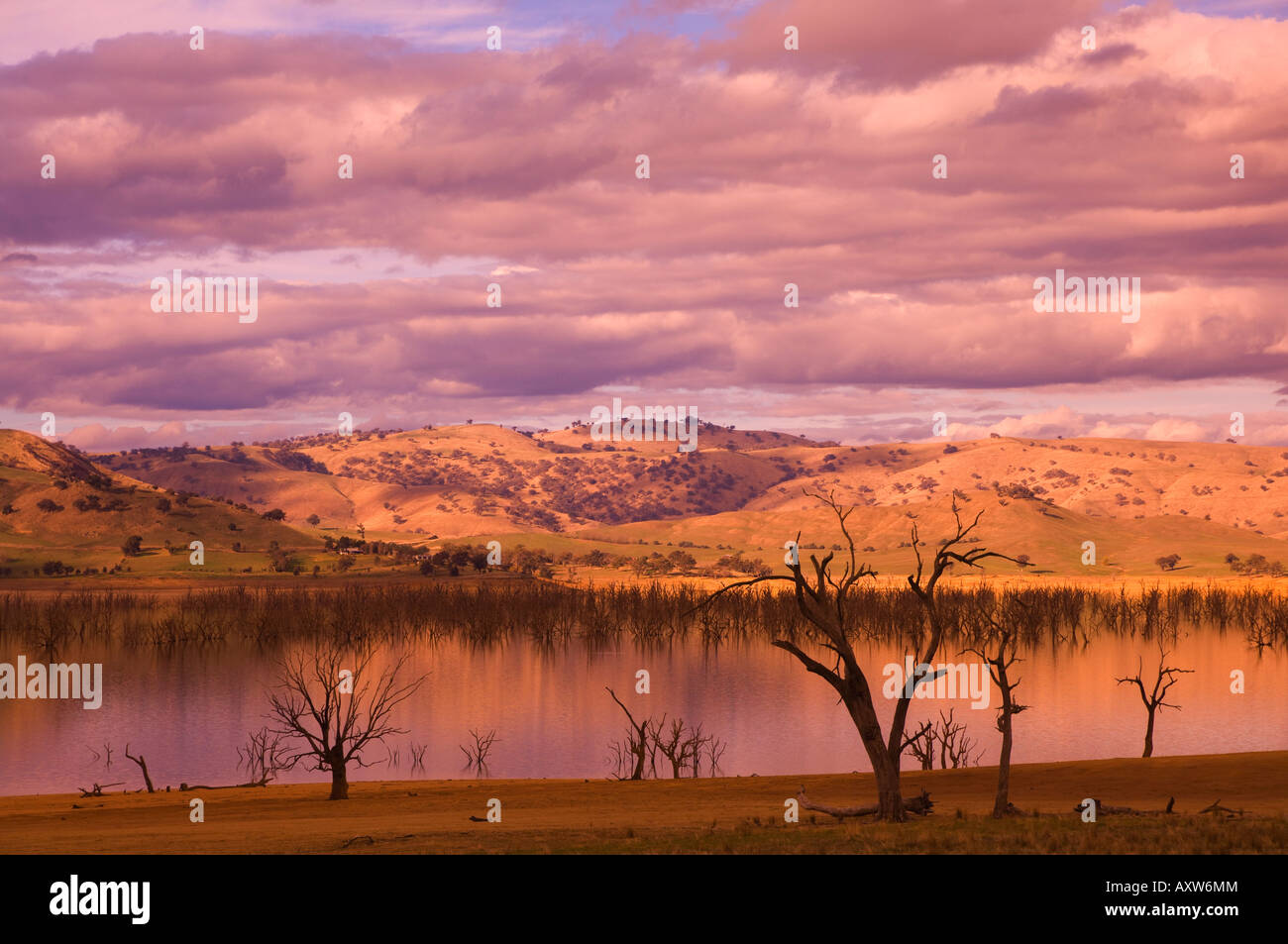 Lake victoria hi-res stock photography and images - Alamy