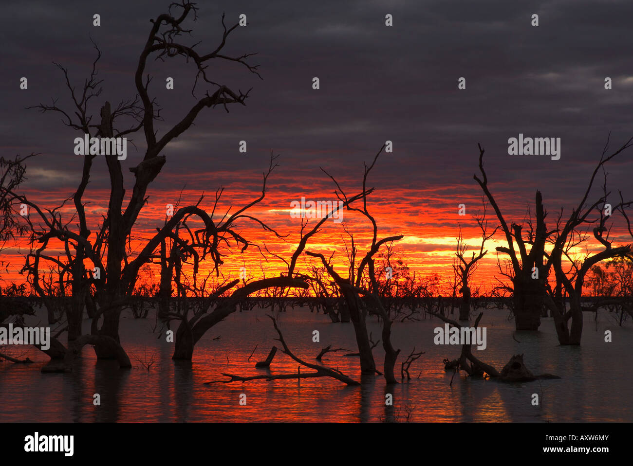 Menindee hi-res stock photography and images - Alamy