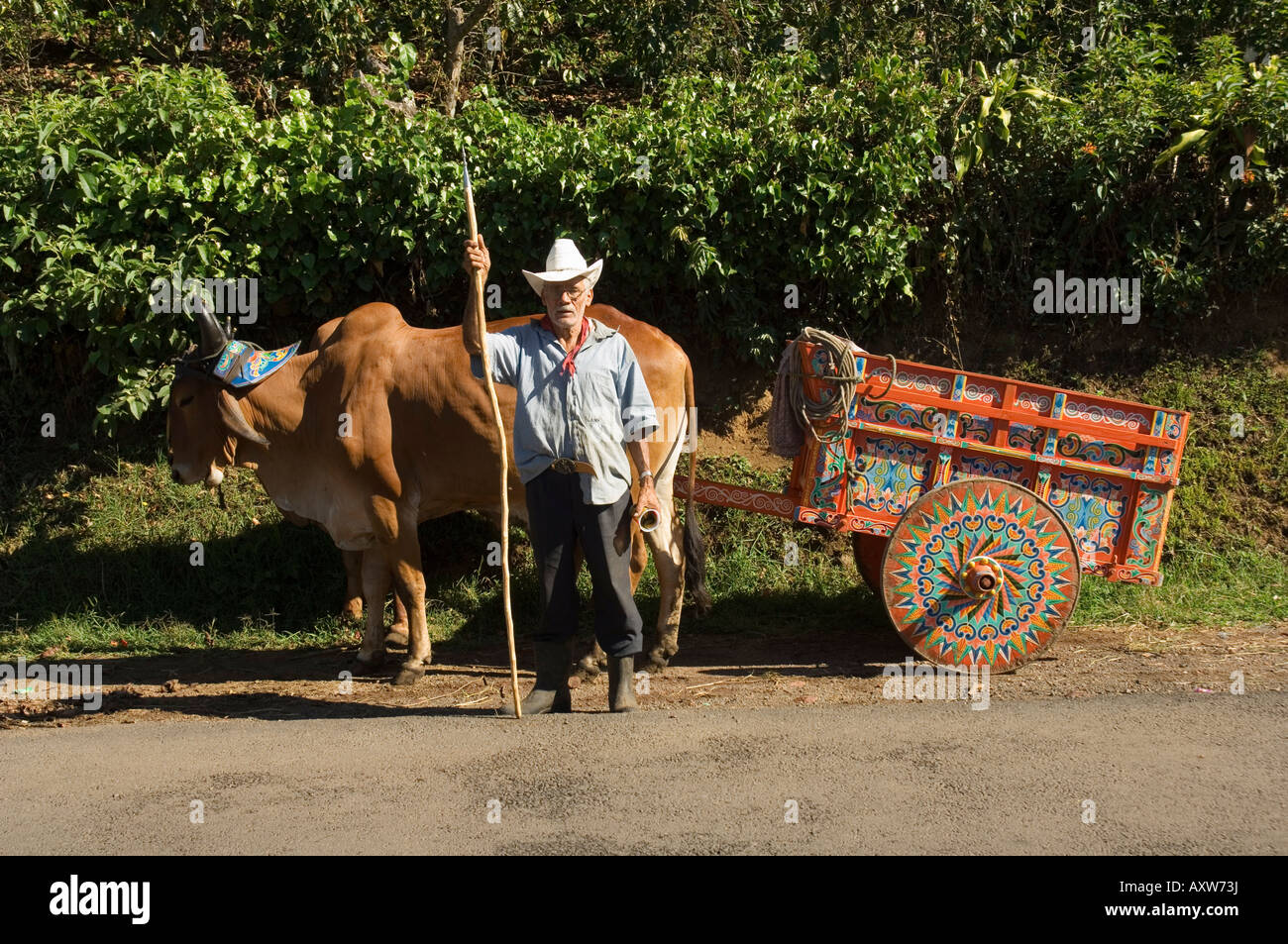 Costa rica ox cart hi-res stock photography and images - Alamy