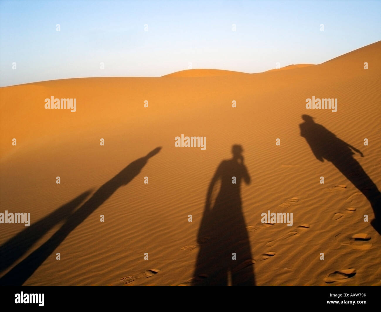Long human shadows on orange Sahara sand Morocco North Africa Stock ...