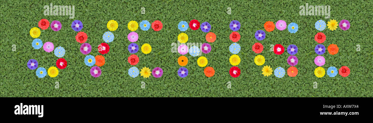 the country of Sweden in their national language Sverige Stock Photo ...