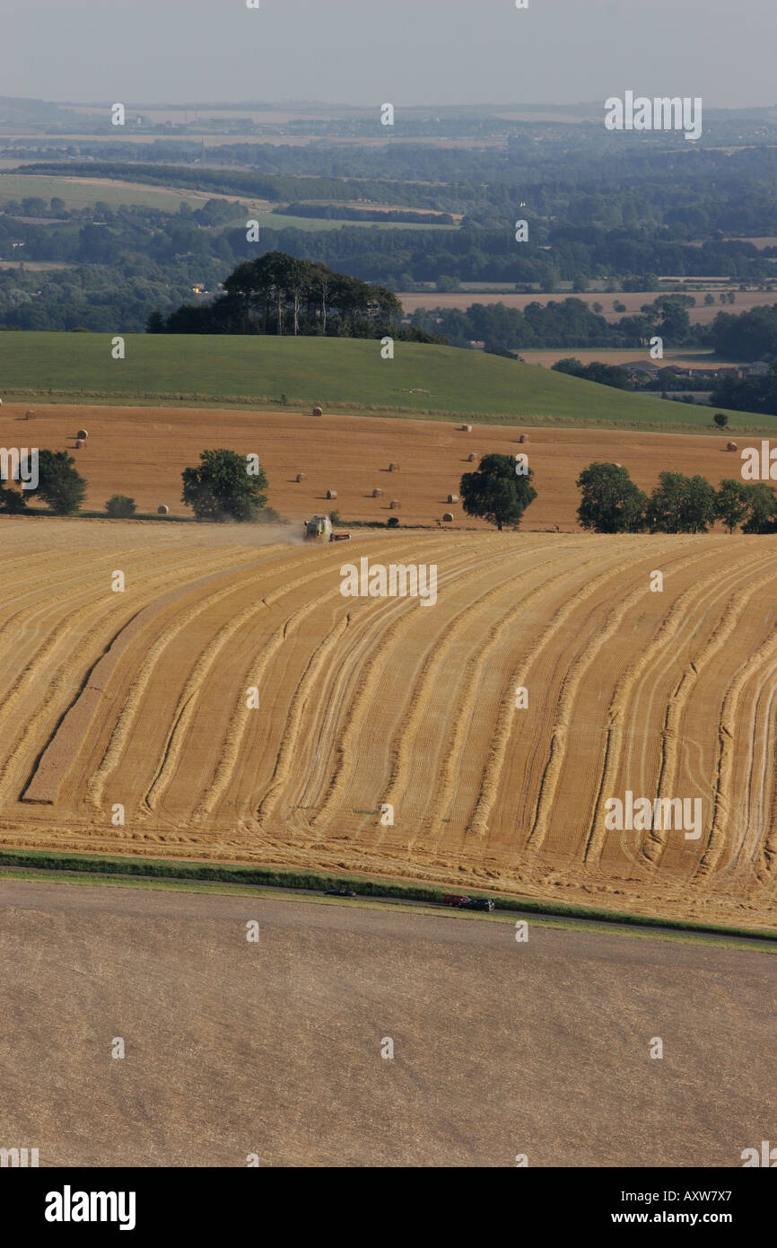Harvest pewsey vale hi-res stock photography and images - Alamy