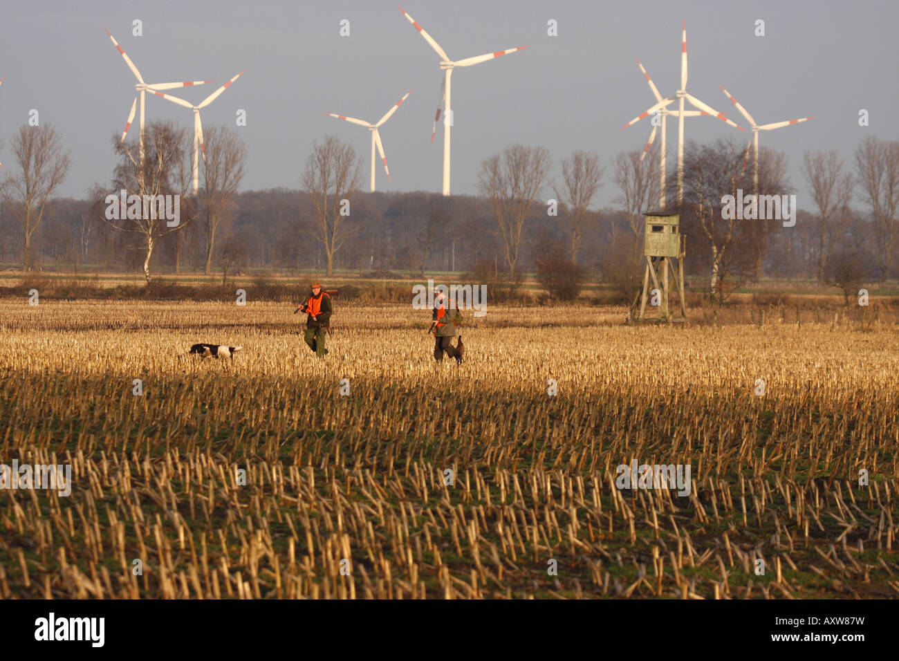 battue hunters in field landscape with hunting dog, Germany, Lower ...