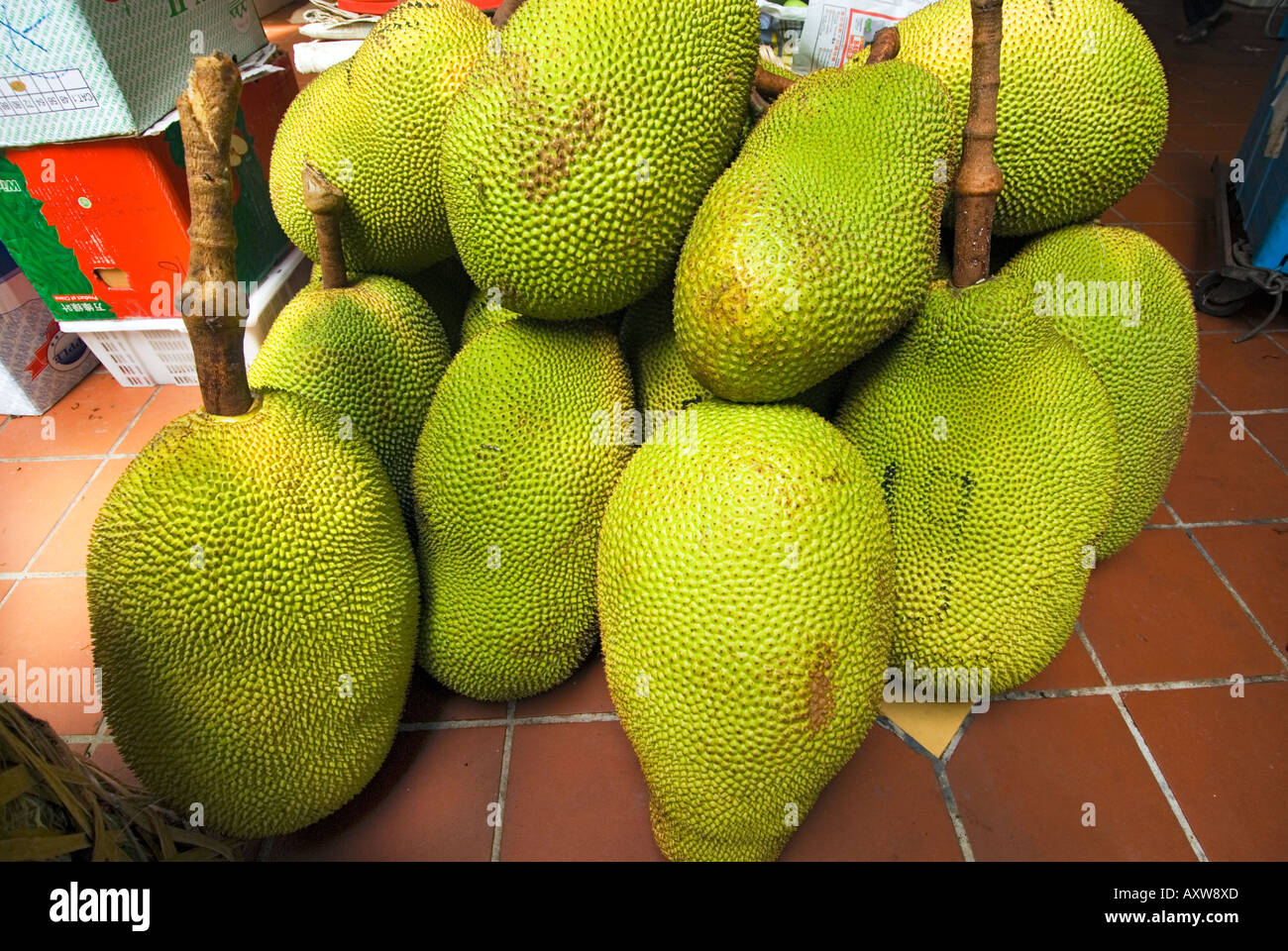 Big Durian Fruits Smell It From 100 M Away Tekka Centre Little India Stock Photo 9669548 Alamy big-durian-fruits-smell-it-from-100-m-away-tekka-centre-little-india-stock-photo-9669548-alamy