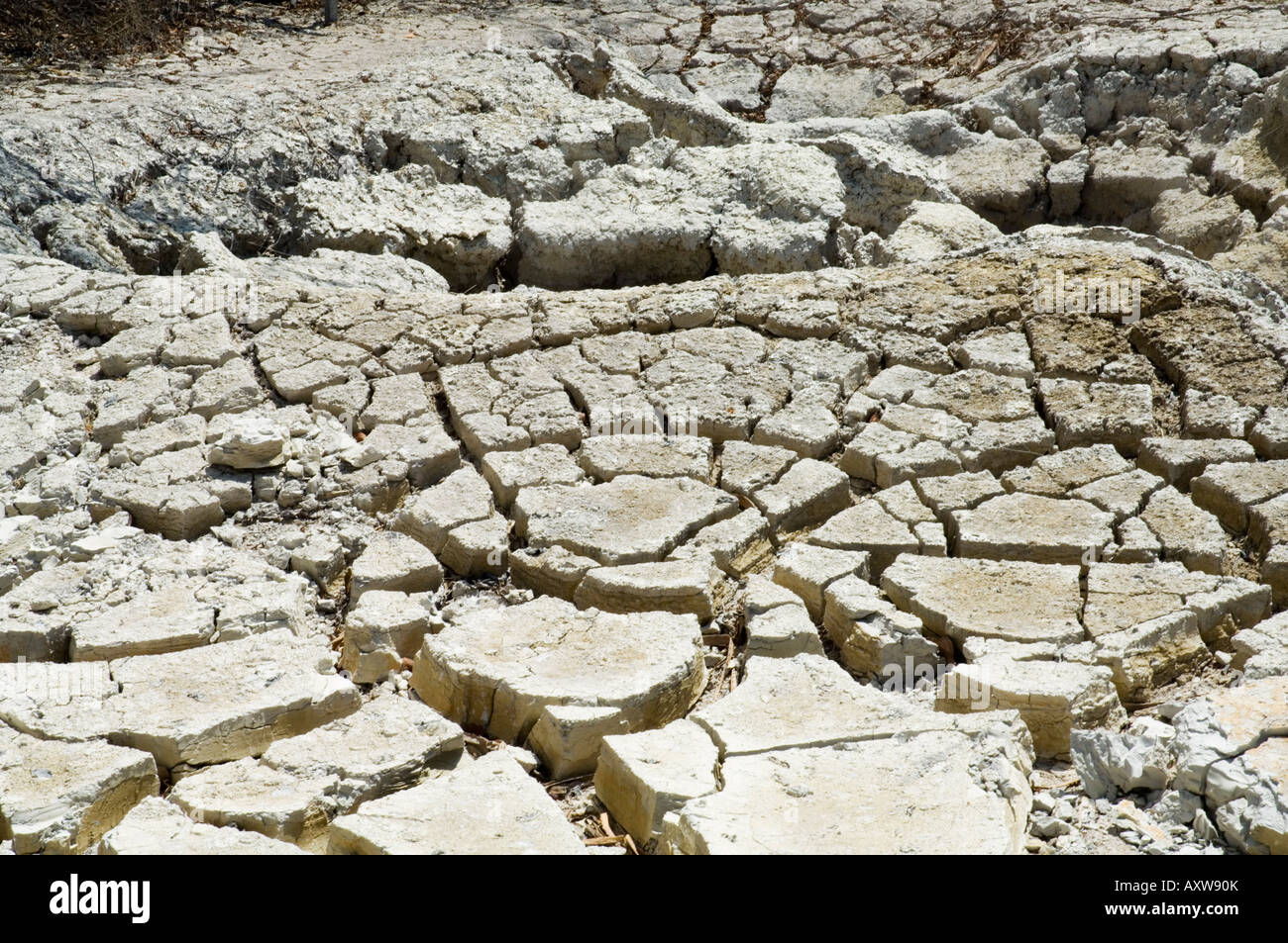 Steaming volcanic mud pools, Rincon de la Vieja National Park at foot ...
