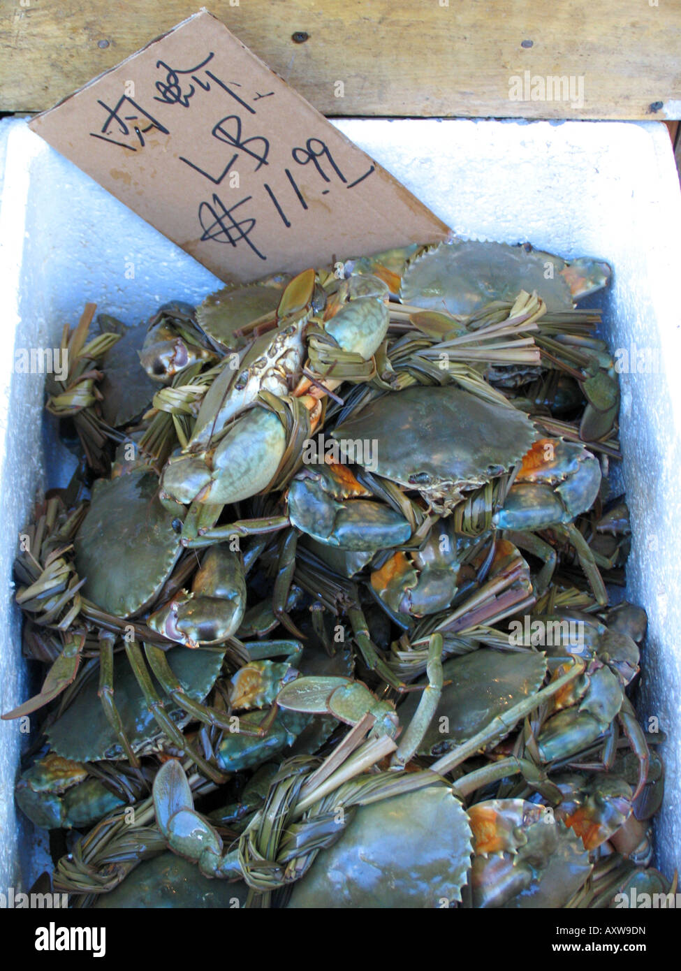 Crabs that are still alive are being offered on market in Chinatown, USA, Manhatten, Chinatown ...