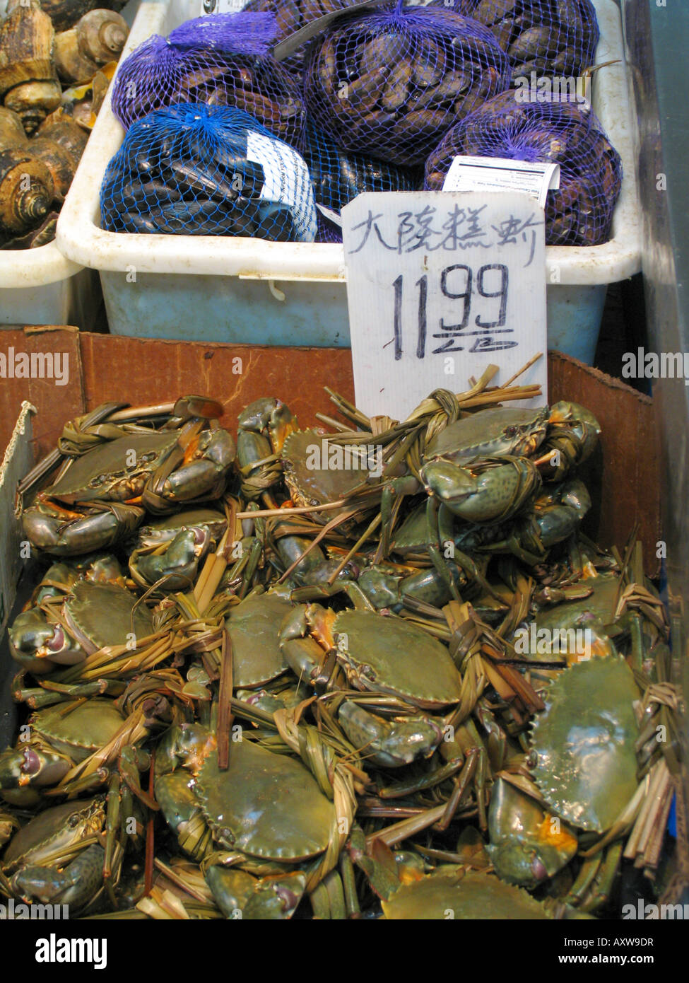 Crabs that are still alive are being offered on market in Chinatown, USA, Manhatten, Chinatown ...