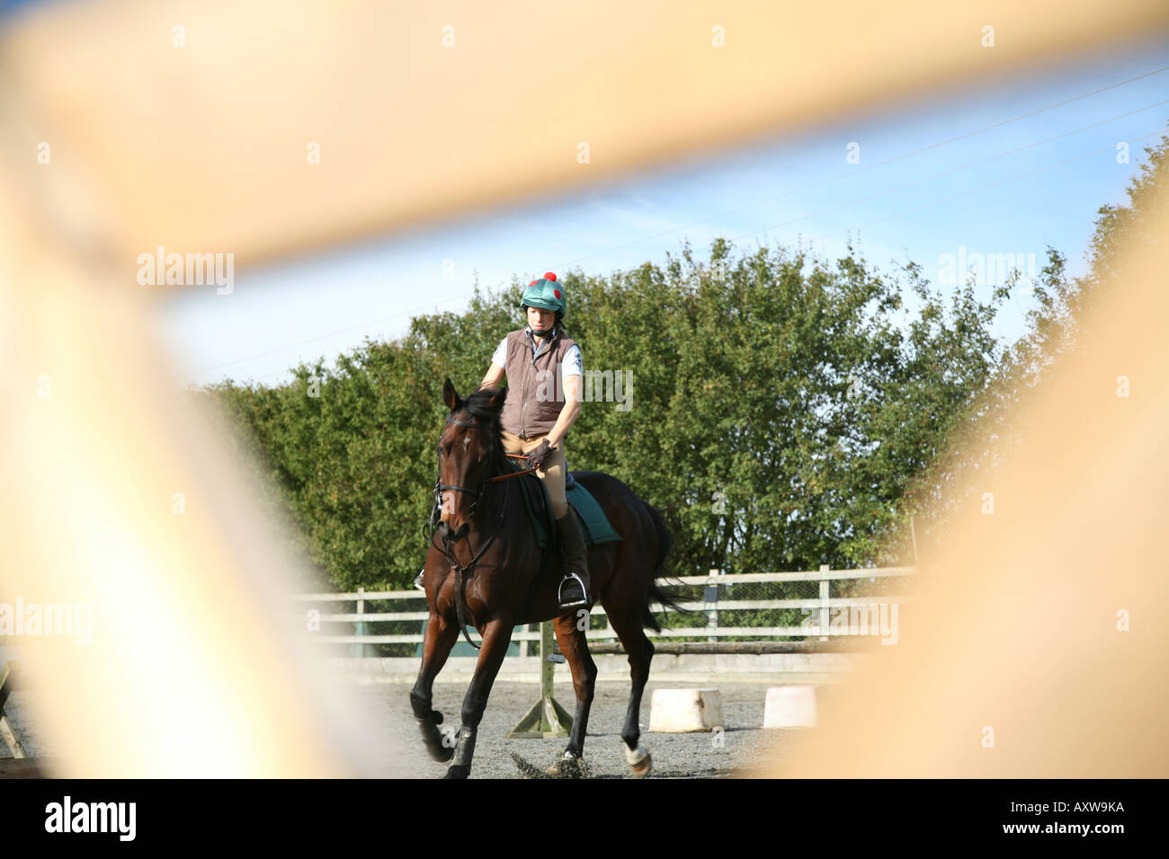 A horse being ridden by a jockey in a paddock Stock Photo - Alamy