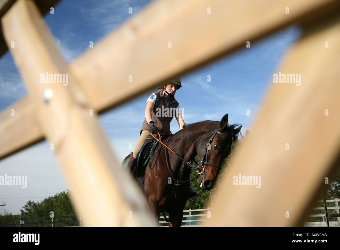 A horse being ridden by a jockey in a paddock Stock Photo - Alamy