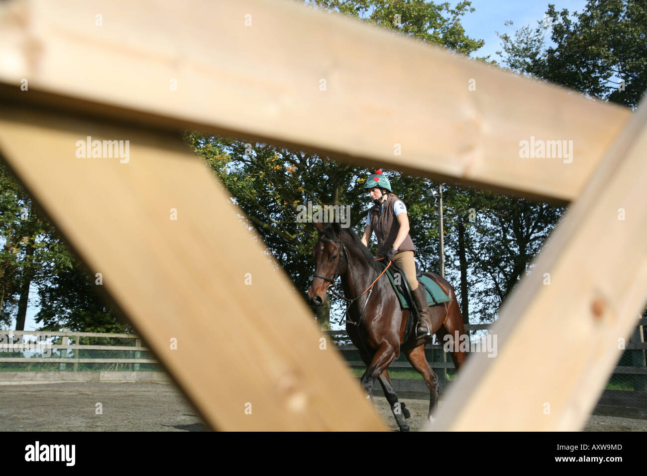 A horse being ridden by a jockey in a paddock Stock Photo - Alamy
