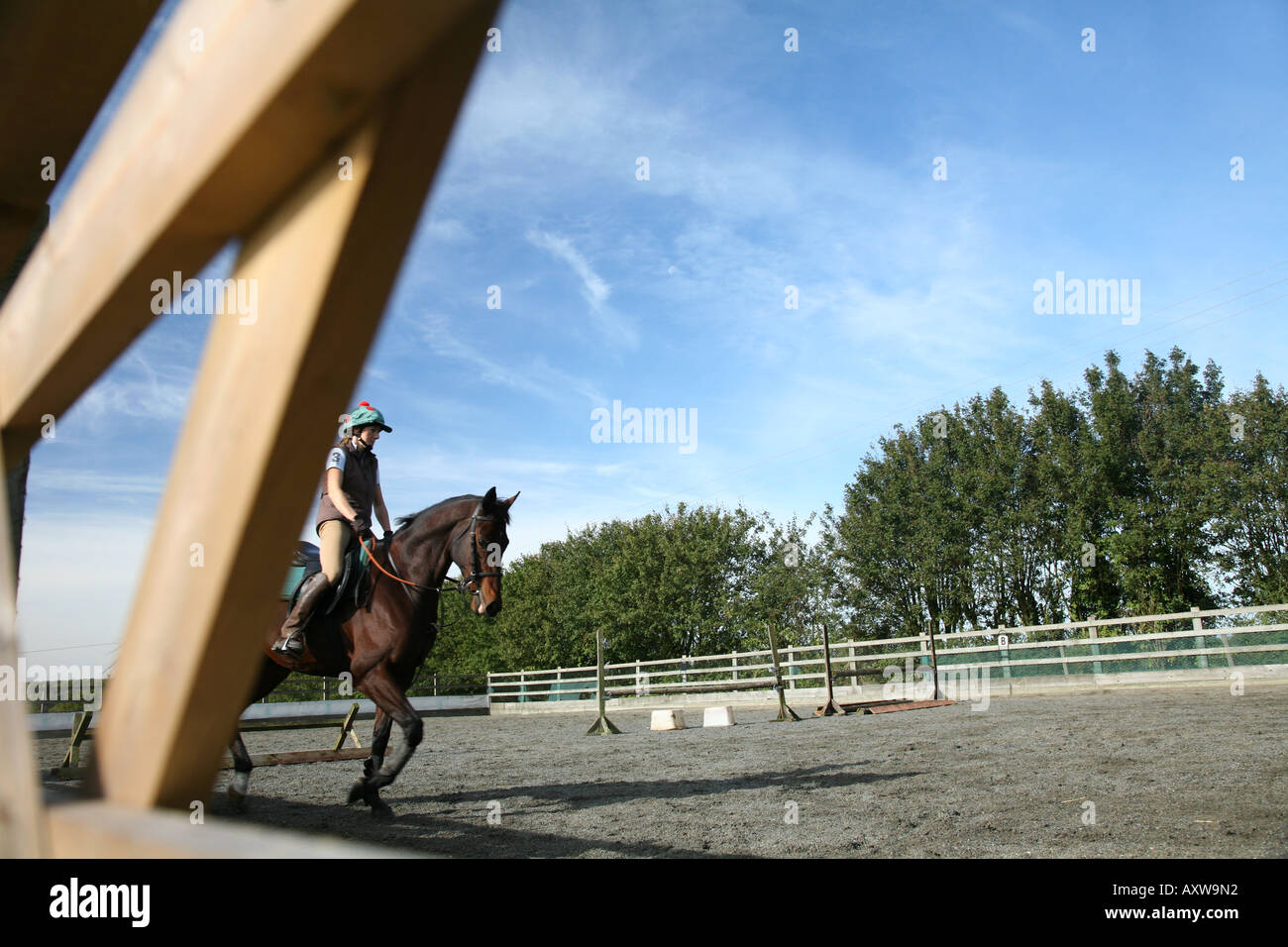 A horse being ridden by a jockey in a paddock Stock Photo - Alamy