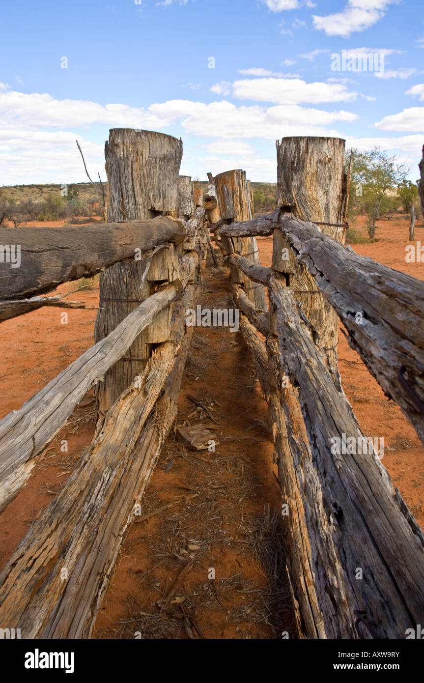 Cattle shute hi-res stock photography and images - Alamy