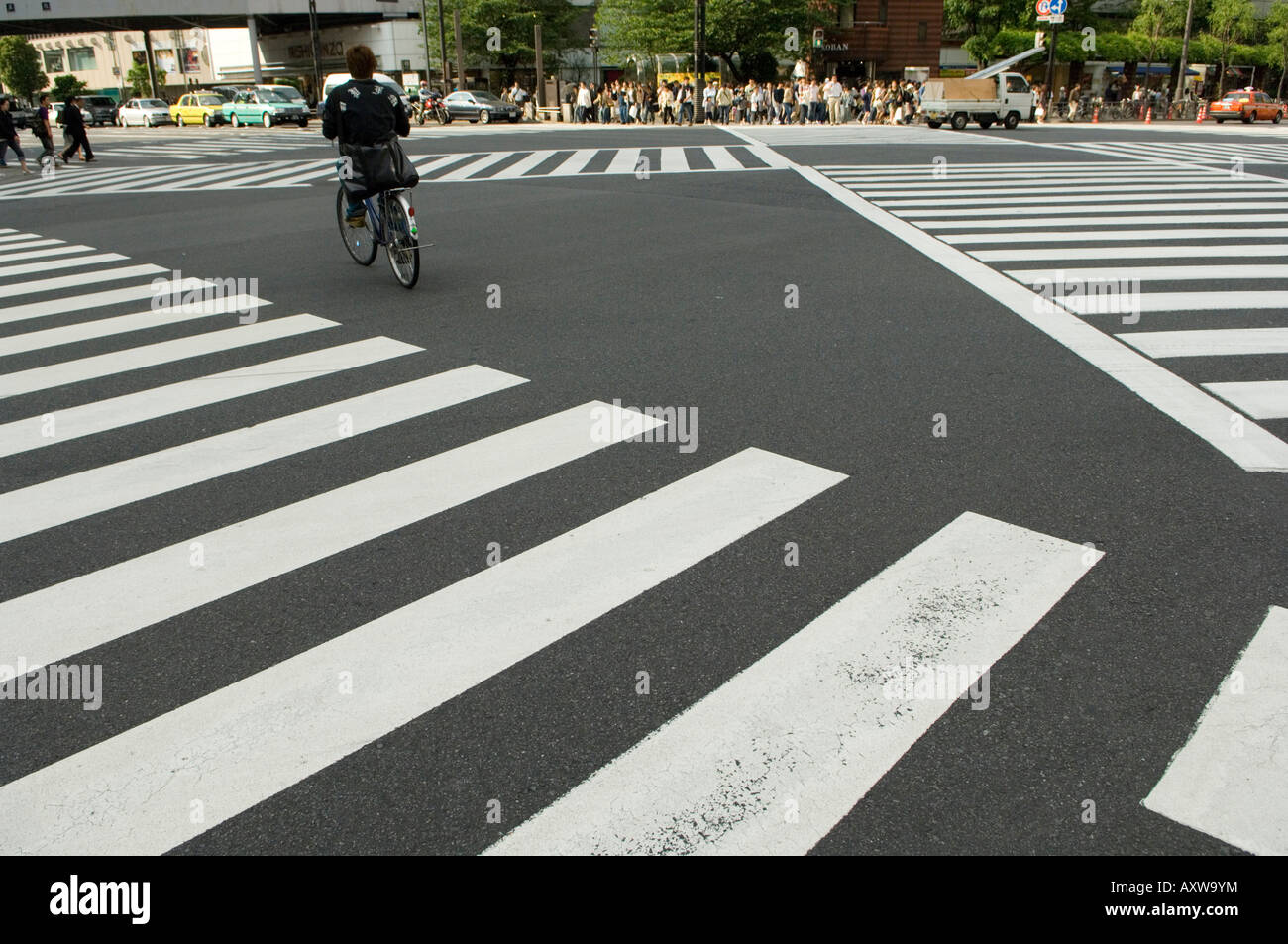 Zebra Crossing at Ginza, Tokyo, Japan Stock Photo - Alamy