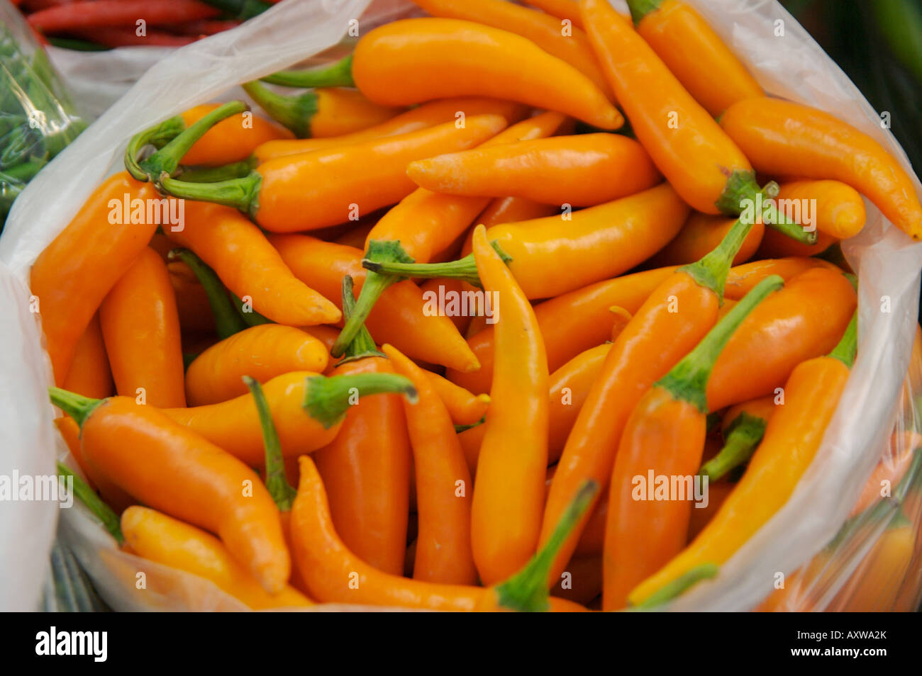 Ripe chilies hi-res stock photography and images - Alamy