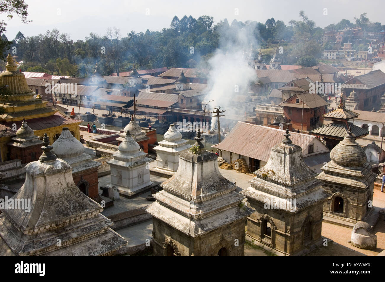 Pashu High Resolution Stock Photography and Images - Alamy