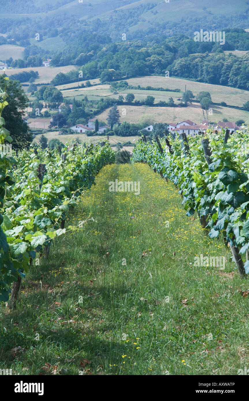 Countryside de hi-res stock photography and images - Alamy