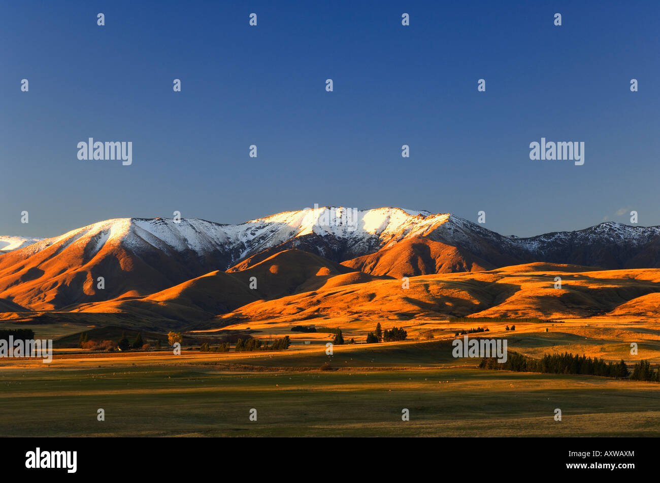 Hawkdun Range, Ranfurly, Central Otago, South Island, New Zealand, Pacific Stock Photo - Alamy