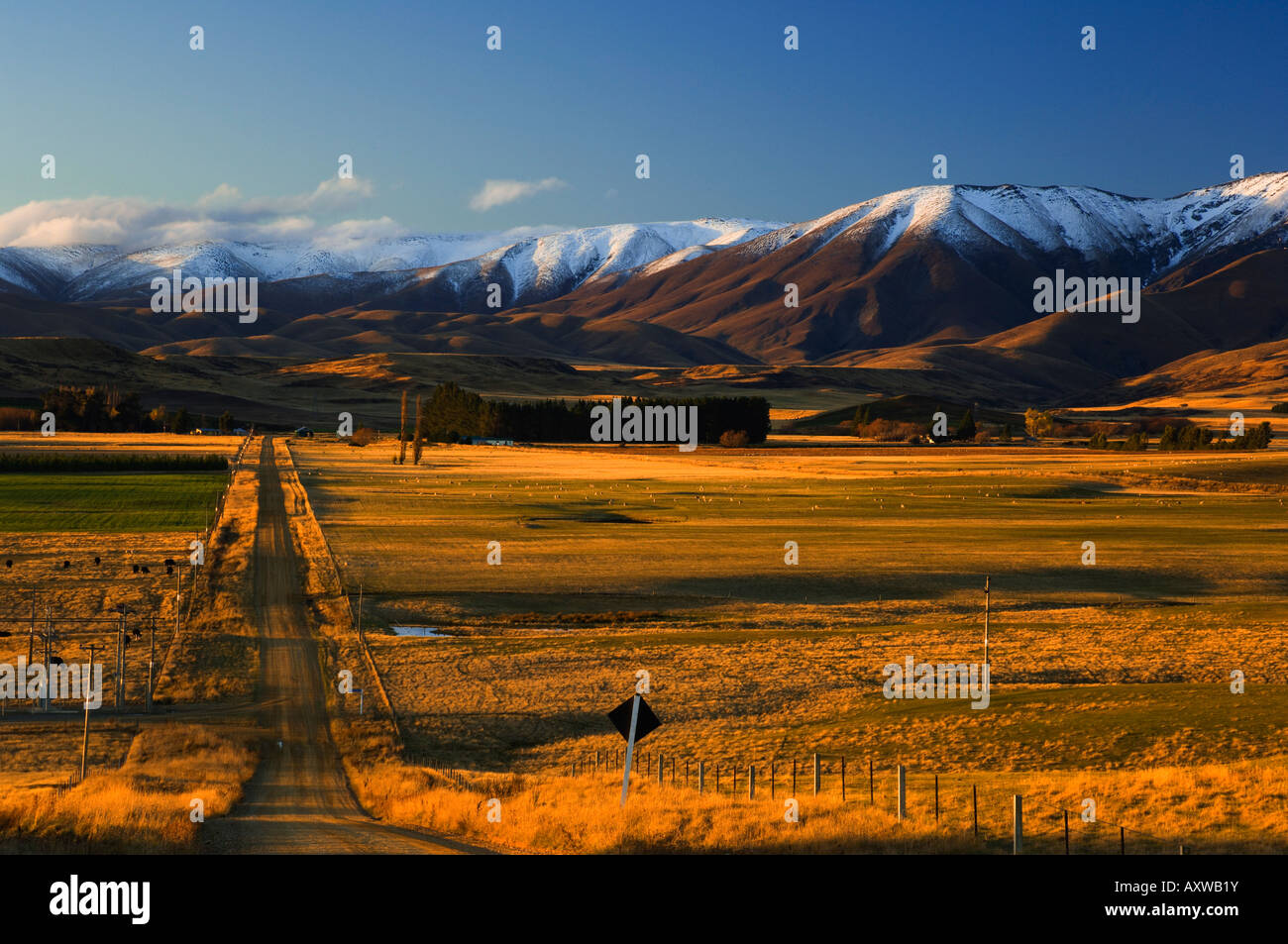 Gravel road and Hawkdun Range, Ranfurly, Central Otago, South Island, New Zealand, Pacific Stock ...