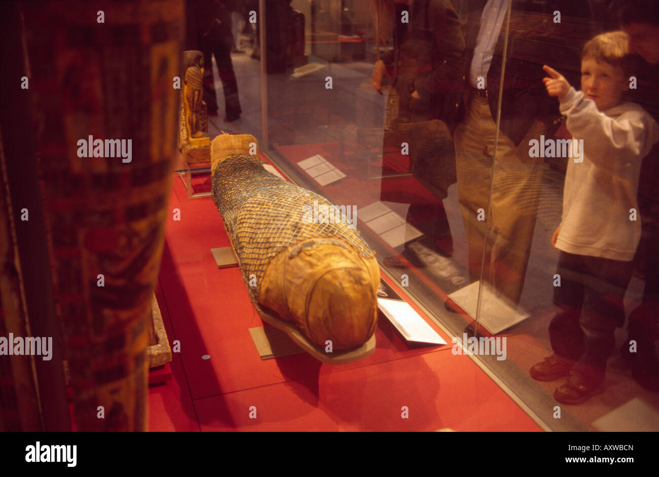 Mummy british museum hi-res stock photography and images - Alamy