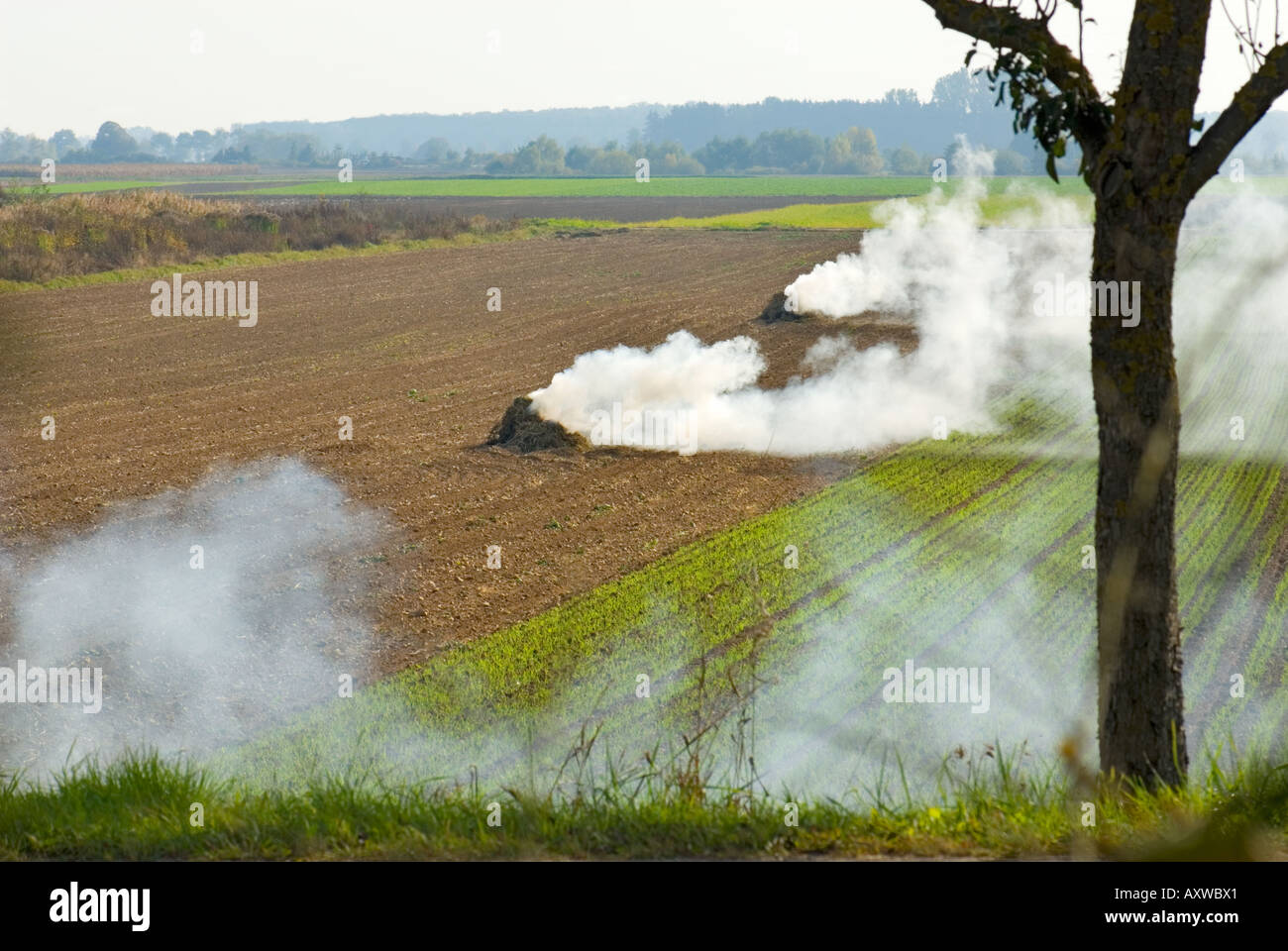 Open burning country side hi-res stock photography and images - Alamy