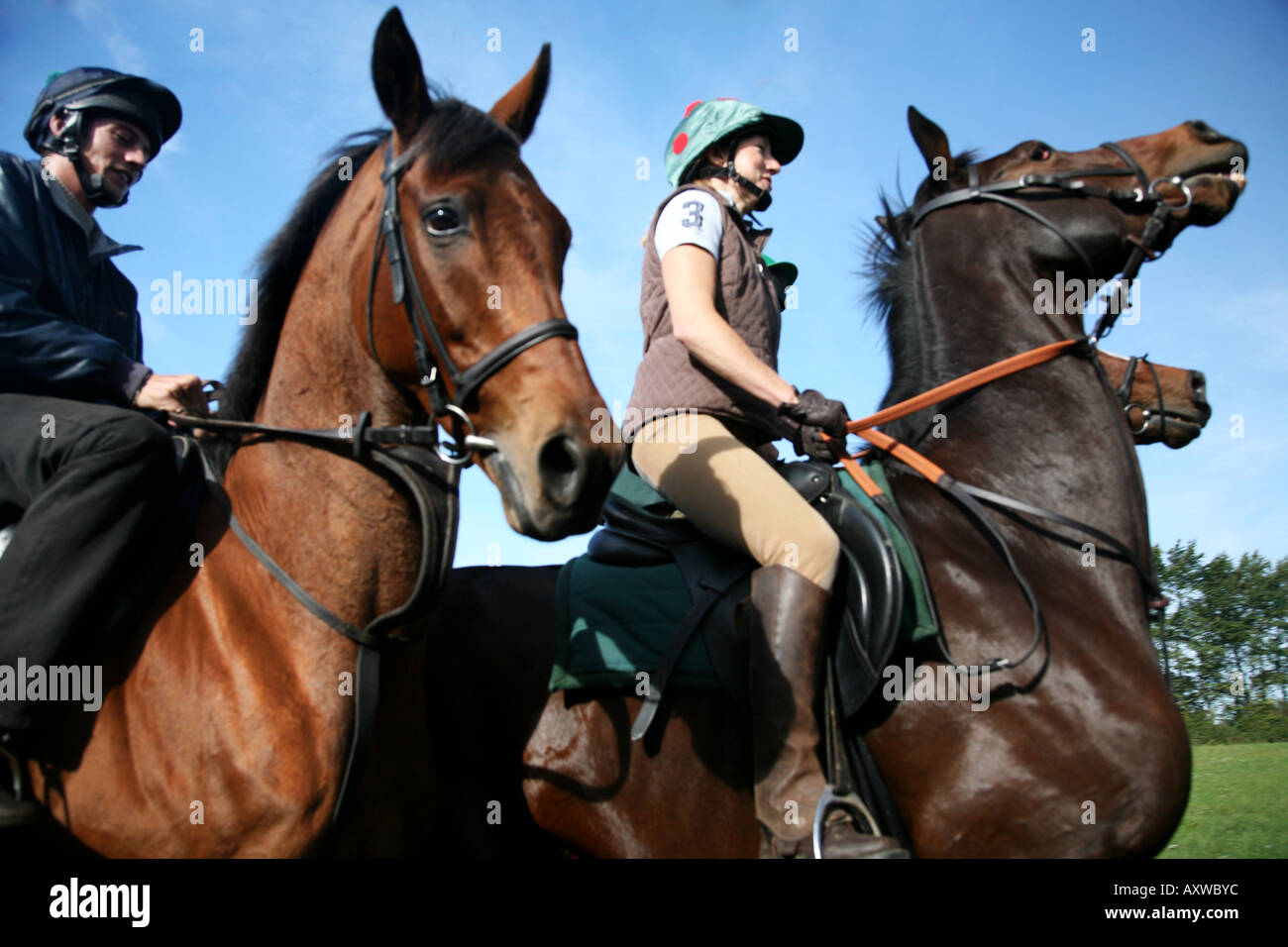 Bucking horse ridden hi-res stock photography and images - Alamy