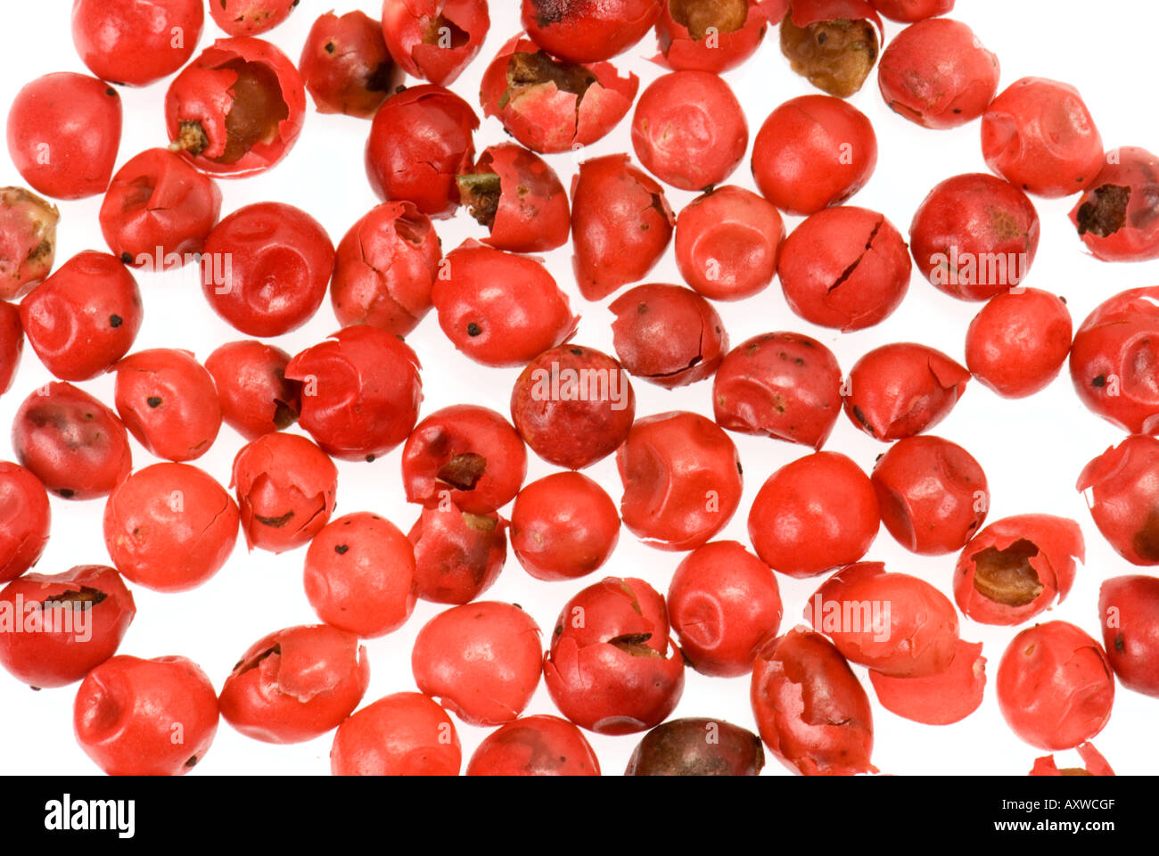 Red pink Pepper Spice dried dry pepper corns closeup seed fruit perl ...
