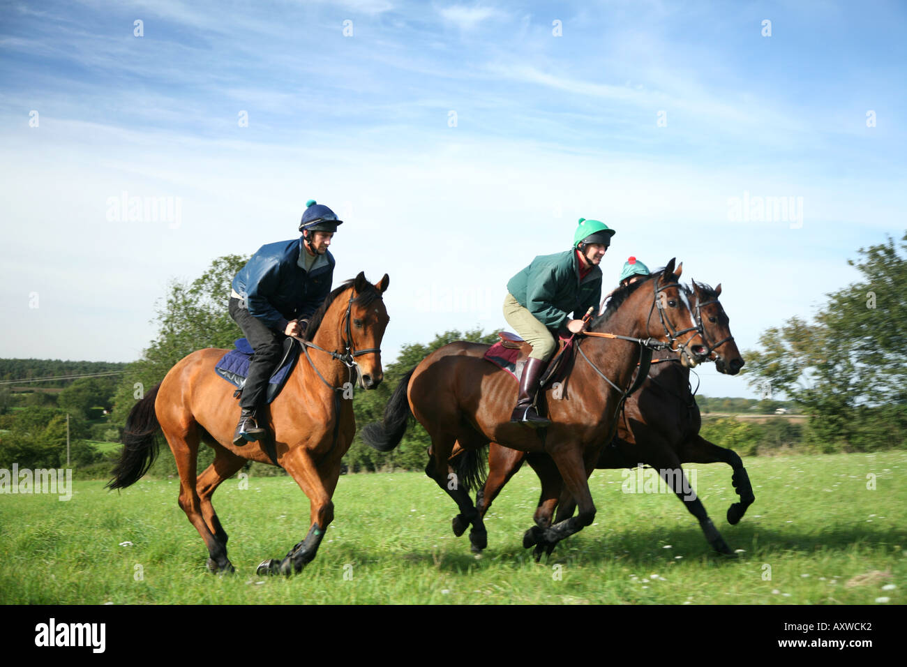 Blue point horse racing hi-res stock photography and images - Alamy