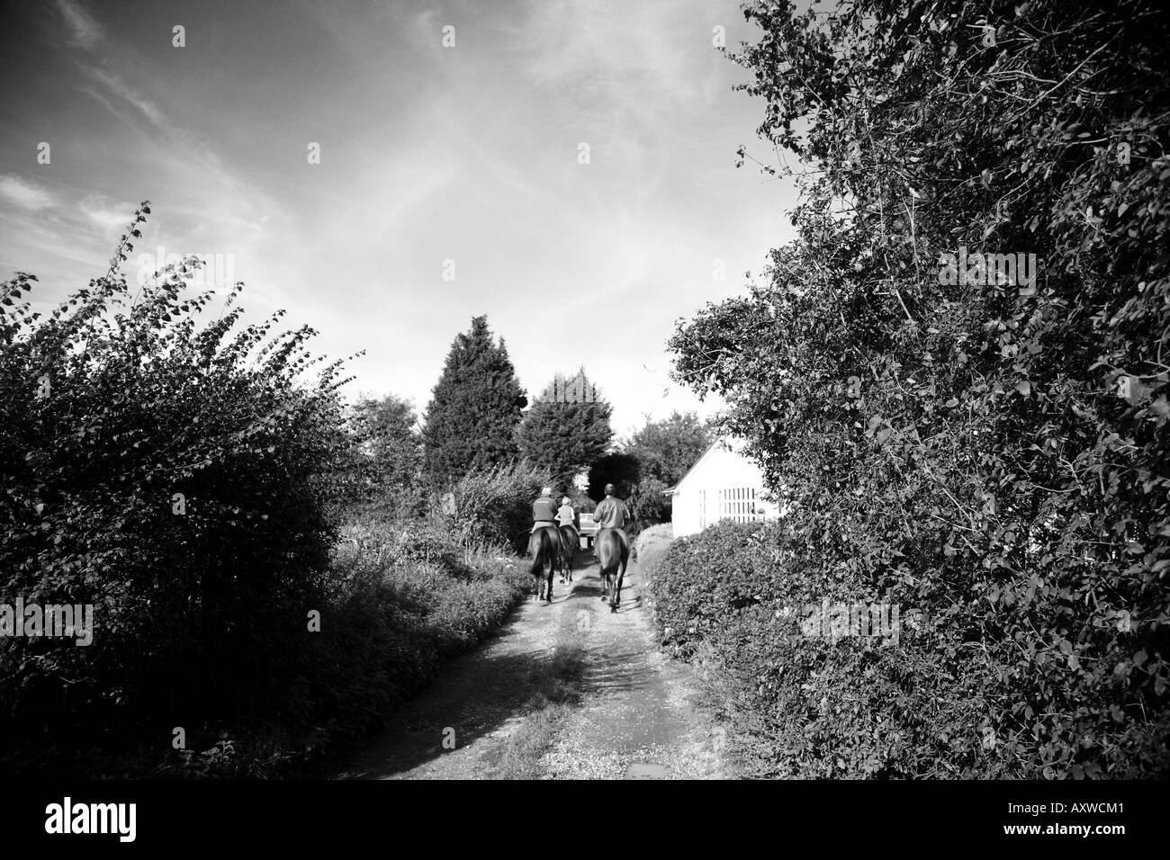 English style horseback riding Black and White Stock Photos & Images ...