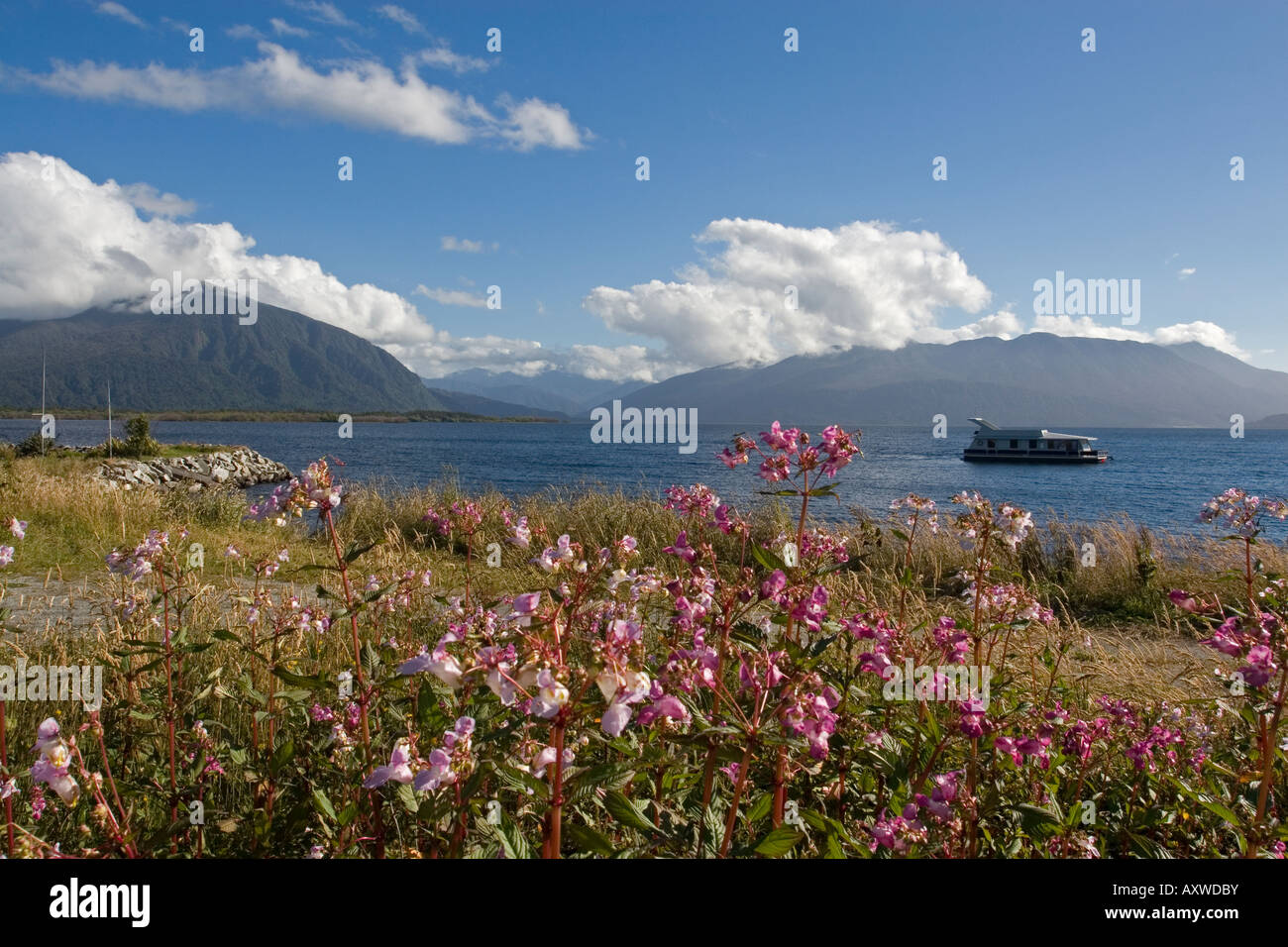 Brunner new zealand hi-res stock photography and images - Alamy