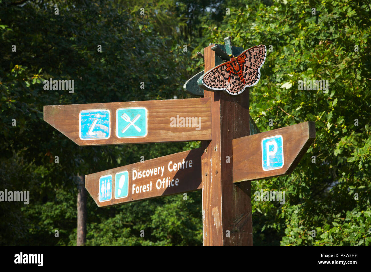 Wyre forest worcestershire butterfly hi-res stock photography and ...