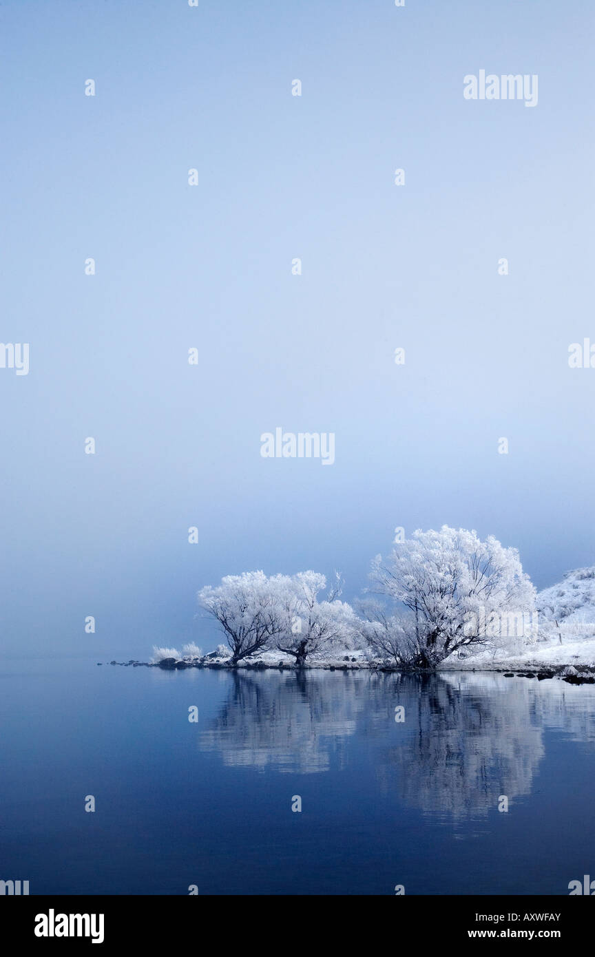 Willow Trees in Hoar Frost Reflected in Lake Ohau Mackenzie Country ...