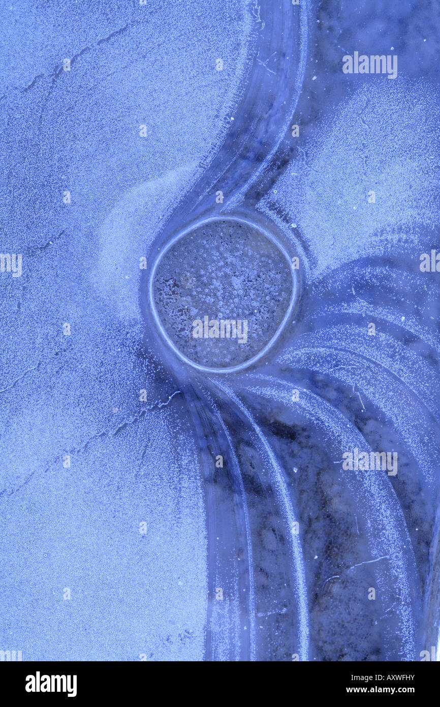 shapes of ice, Germany, Baltic Sea Stock Photo - Alamy