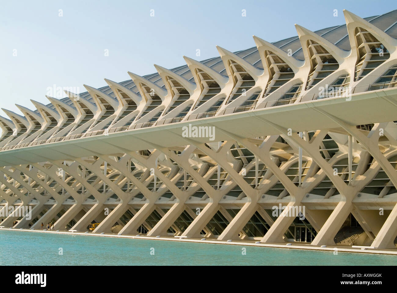 Prince Felipe Science Museum (Museu de les Ciencies) designed by ...