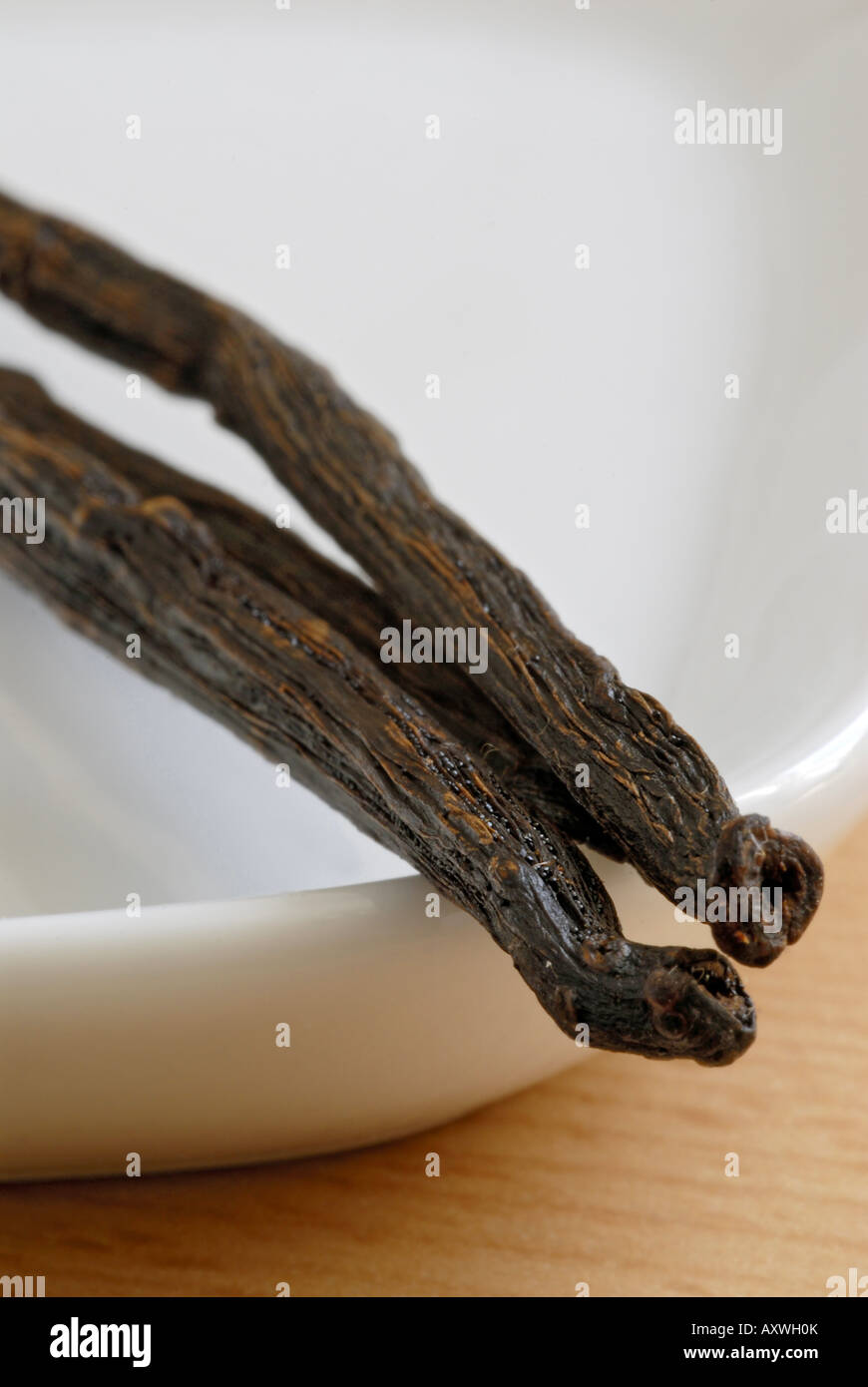 vanilla (Vanilla planifolia), two dried vanilla beans lying on a small ...