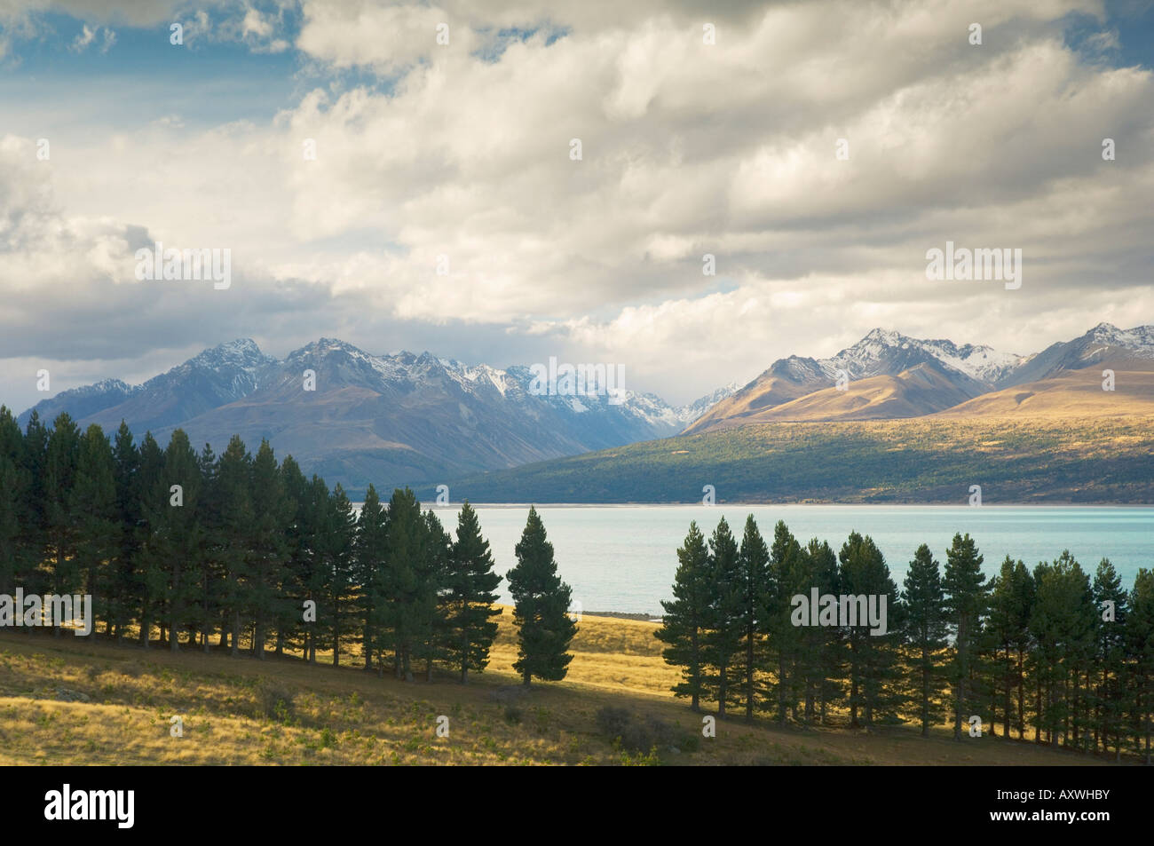 Gammack hi-res stock photography and images - Alamy