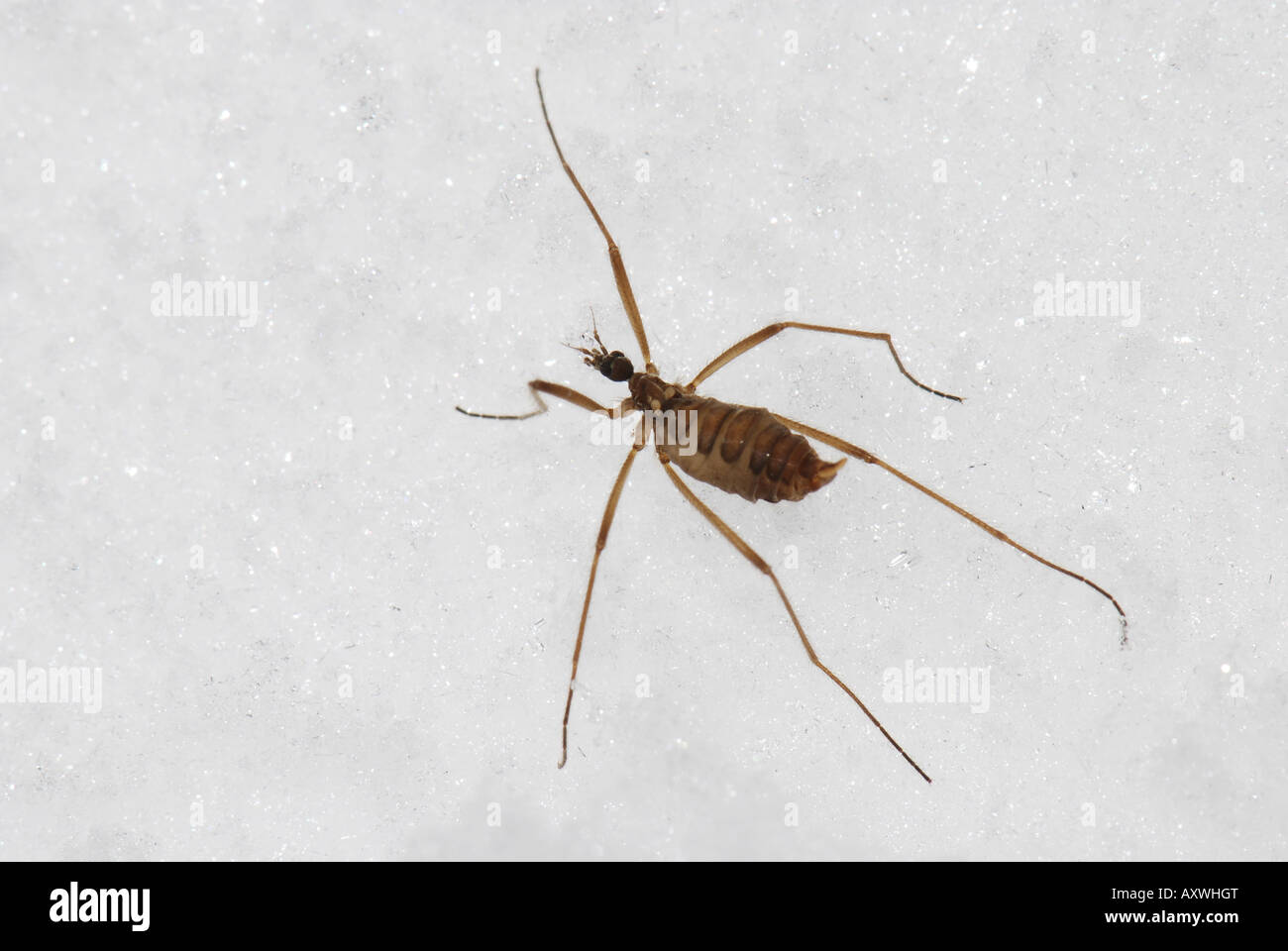 Top view biopix hi-res stock photography and images - Alamy