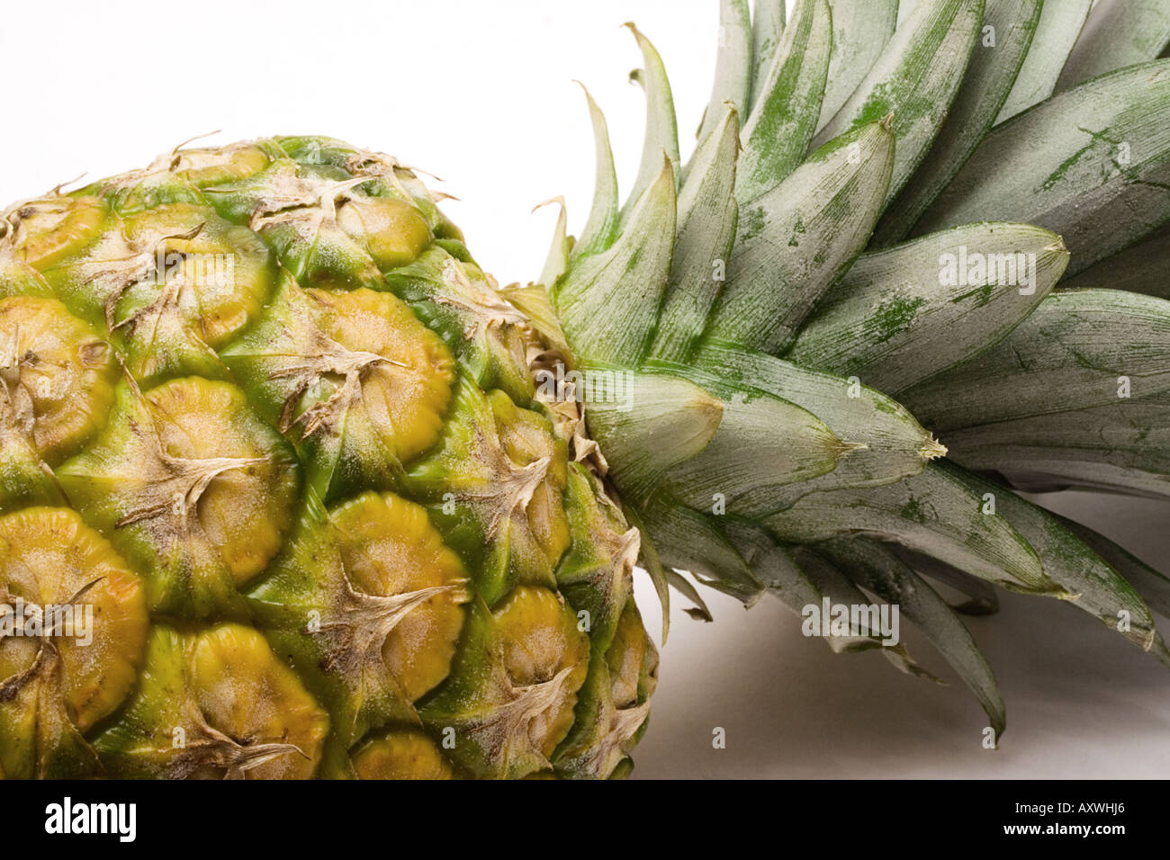 Pineapple (Close View Stock Photo - Alamy