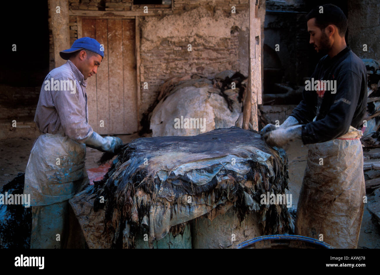 Men preparing animal skins Fez Morocco Stock Photo - Alamy