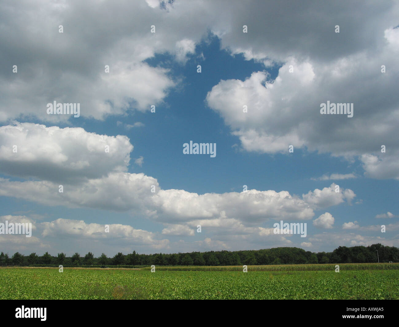 Cloud formations blue sky Stock Photo - Alamy