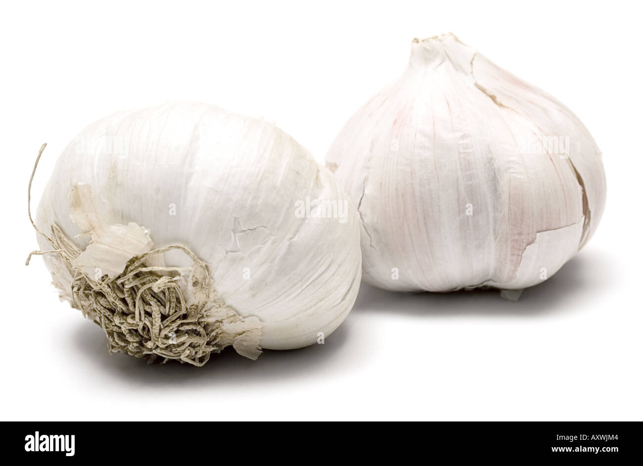 Allium sativum garlic bulbs Cut Out Stock Images & Pictures - Alamy