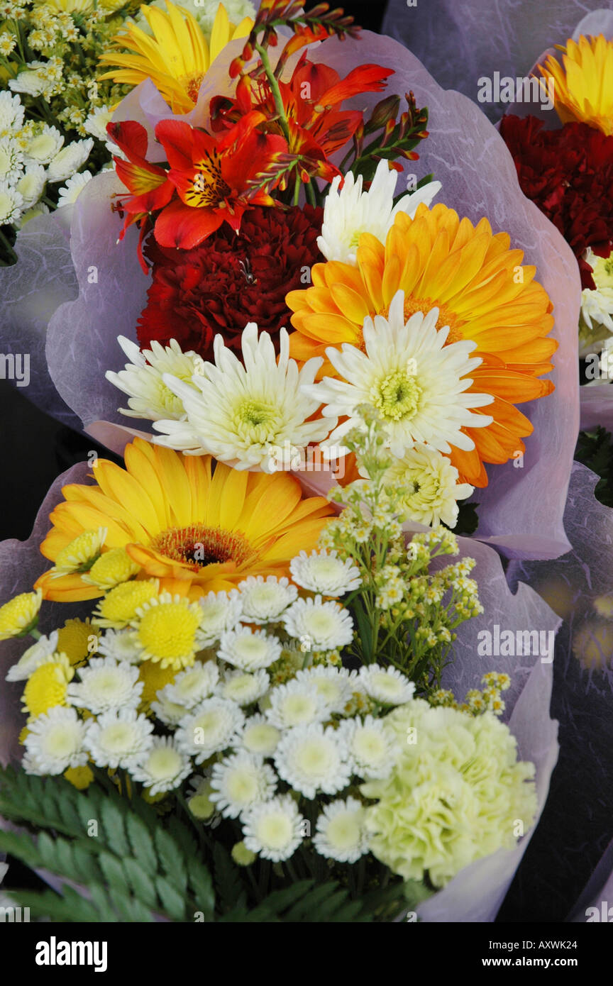 Colourful Flower arrangement Stock Photo - Alamy