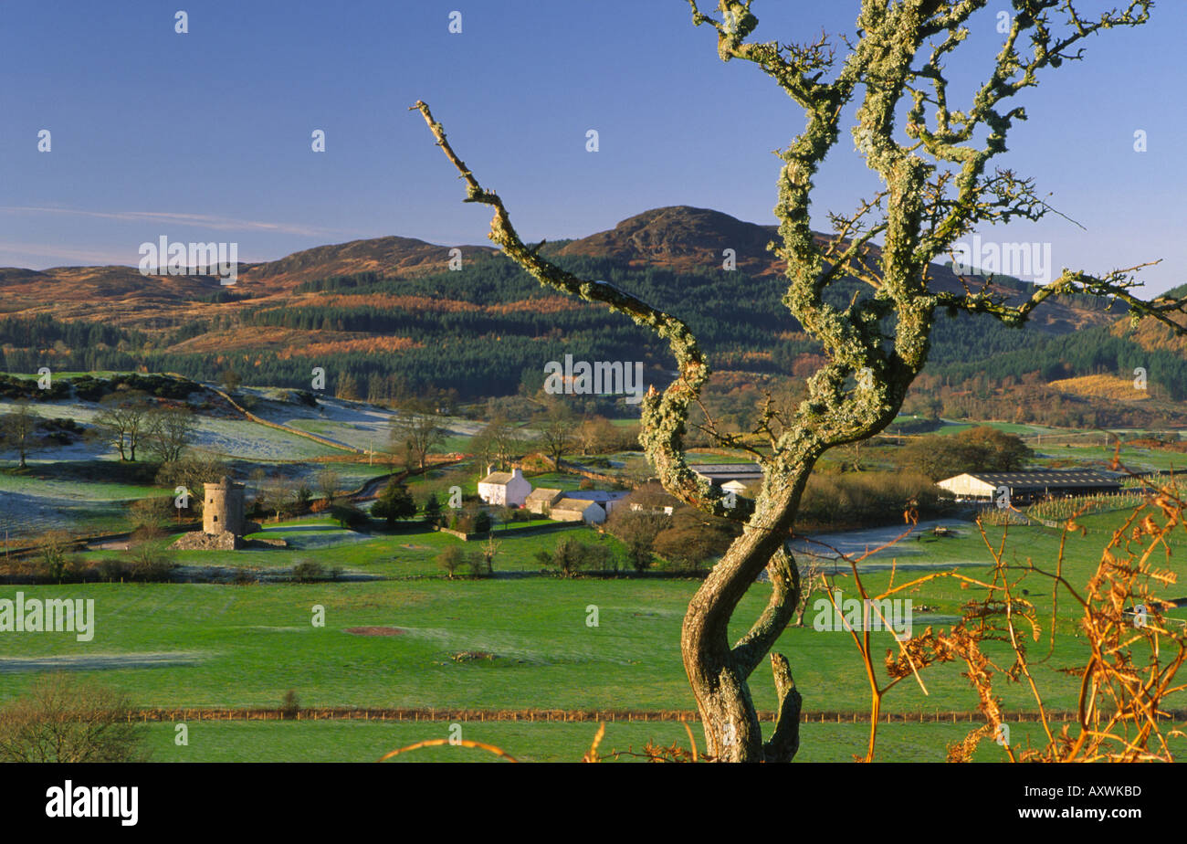 Orcharton Tower with Screel Hill behind Stock Photo - Alamy