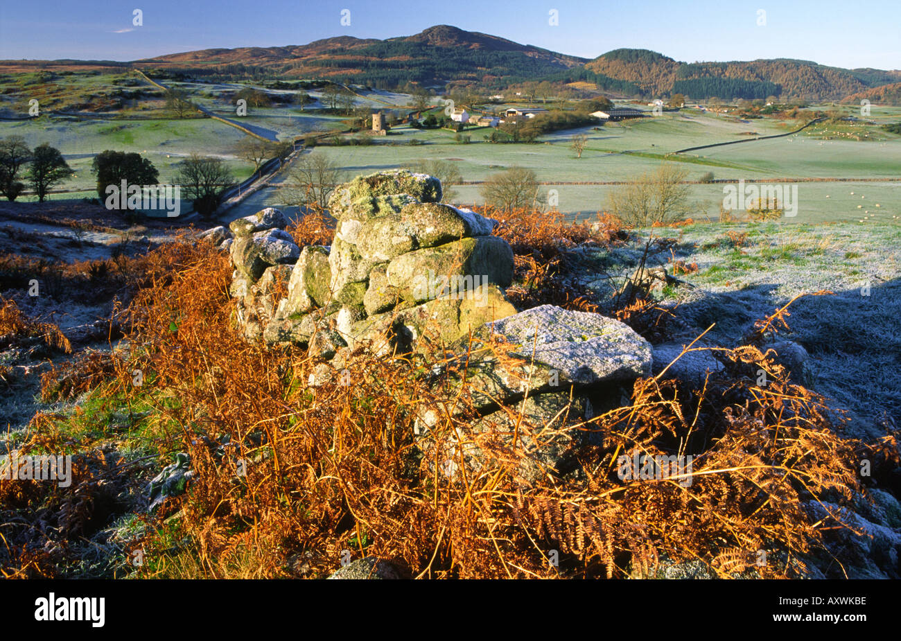 Orchardton tower castle scotland hi-res stock photography and images ...