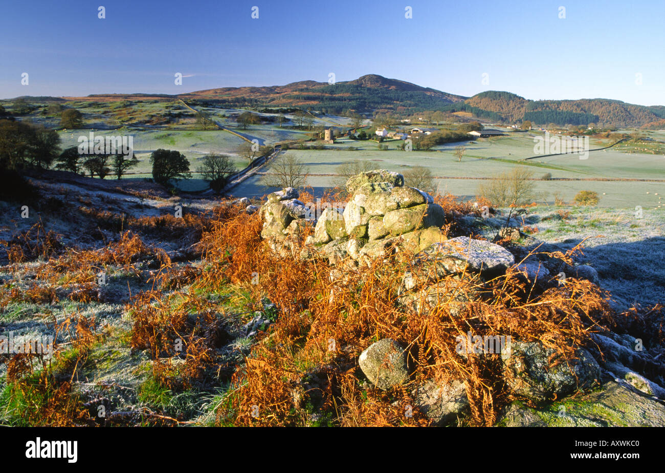 Orchardton tower hi-res stock photography and images - Alamy
