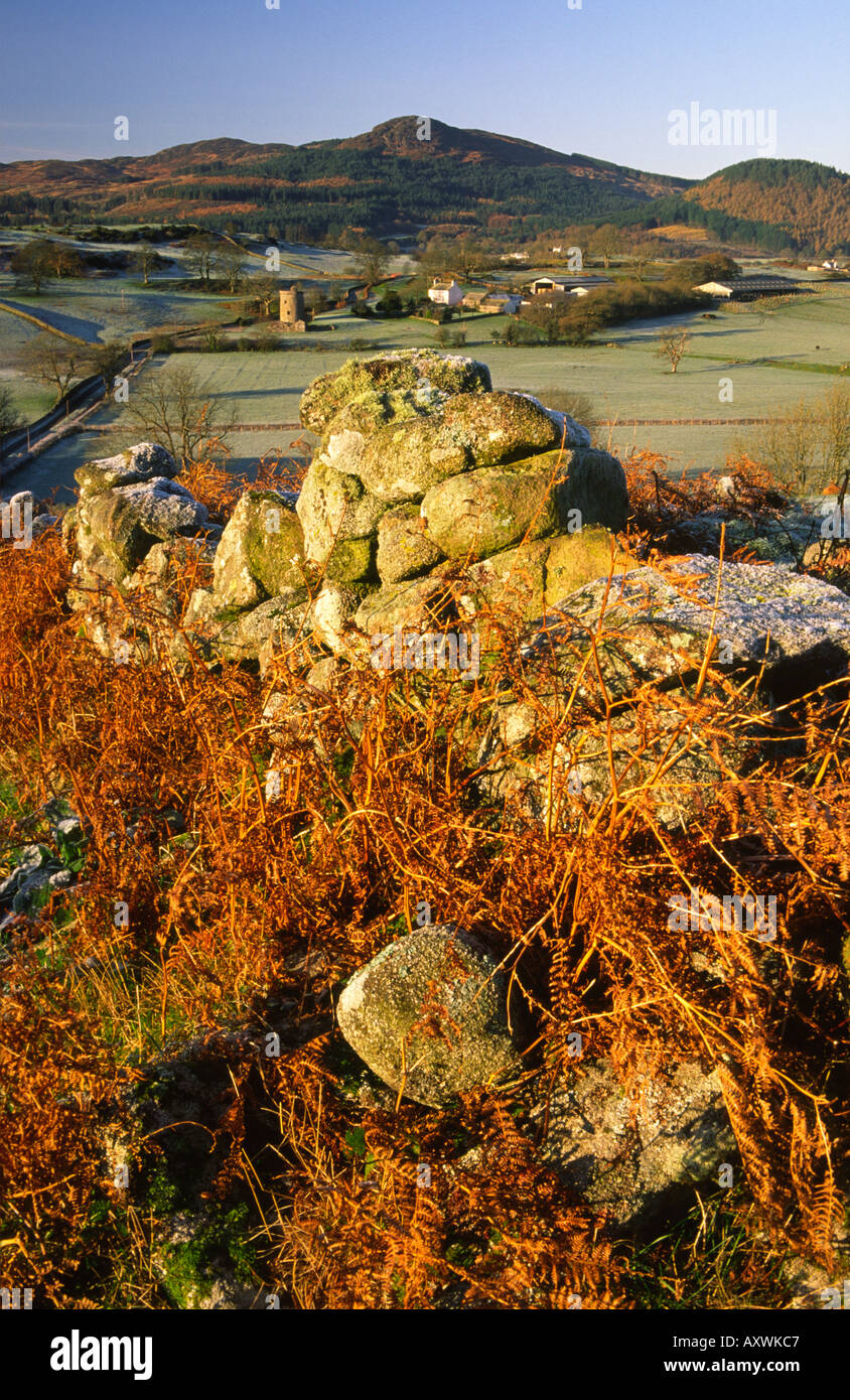 Orchardton tower hi-res stock photography and images - Alamy