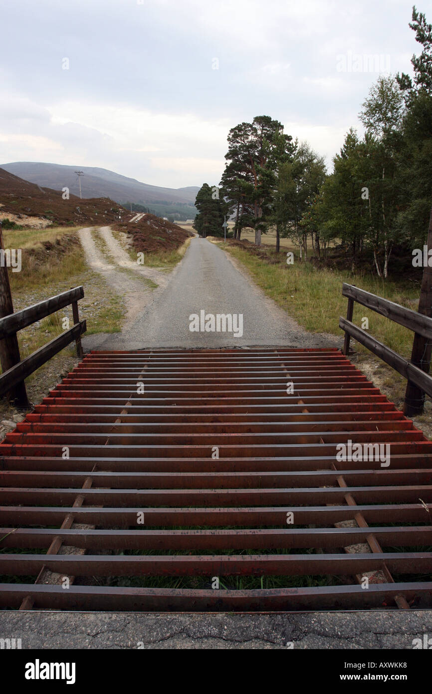 cattle grid on country road in Aberdeenshire, Scotland Stock Photo - Alamy