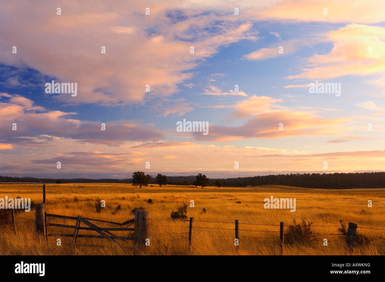Australian landscape farm sunset hi-res stock photography and images ...