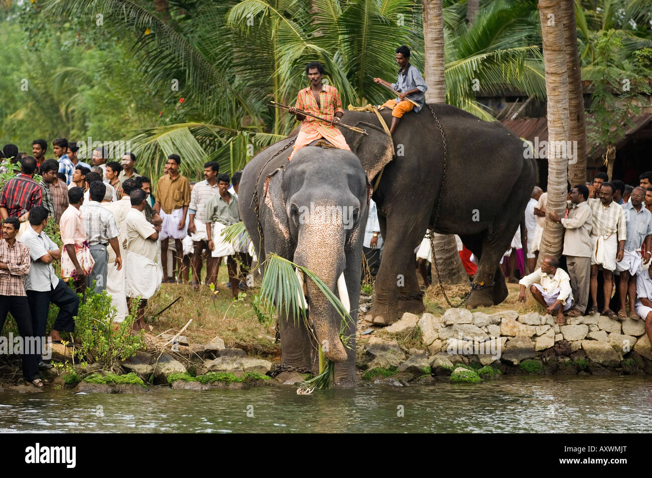 Kerala Elephant Ride Stock Photos & Kerala Elephant Ride Stock Images ...