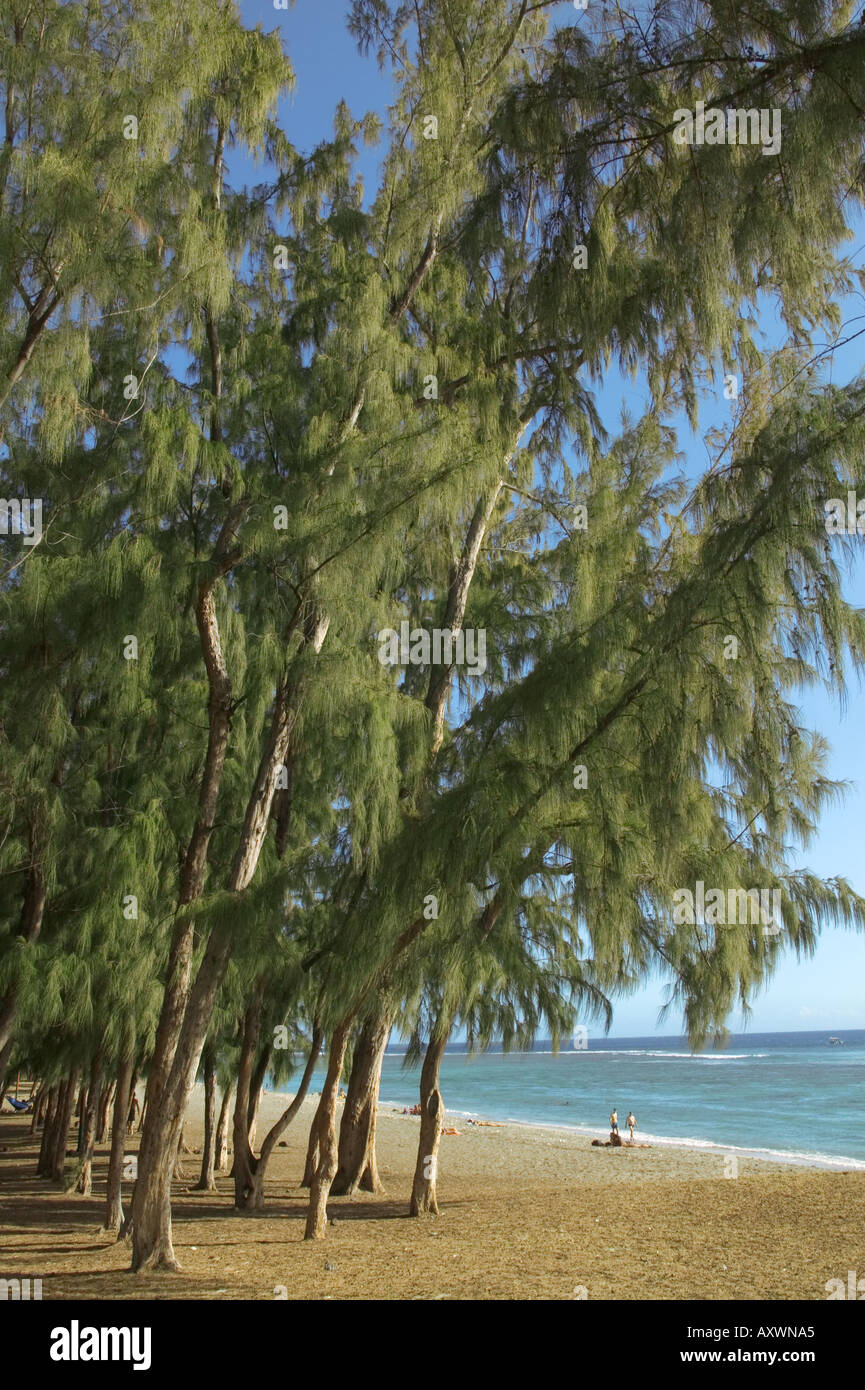 Beach of Saint Leu in Reunion island Stock Photo - Alamy