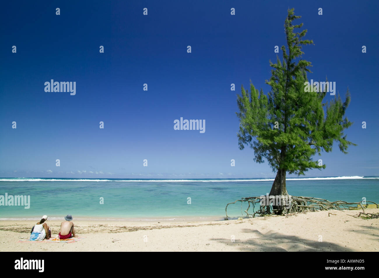 Hermitage beach in Reunion island Stock Photo - Alamy